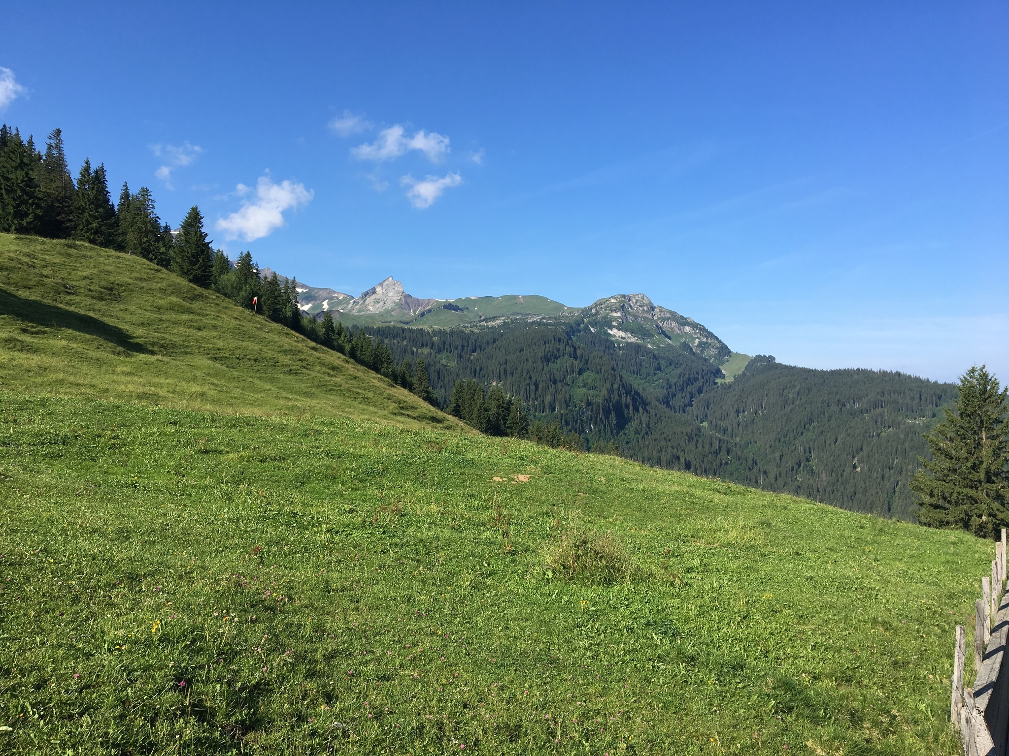 Wanderung Axalp - First